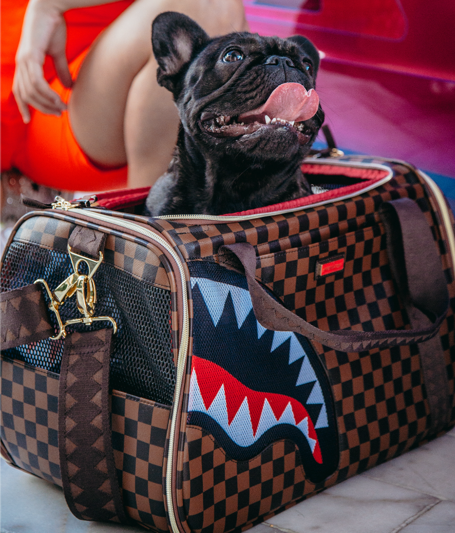 NOW PETS CAN TRAVEL IN STYLE WITH THE LAUNCH OF OUR FIRST-EVER PET CAR ...
